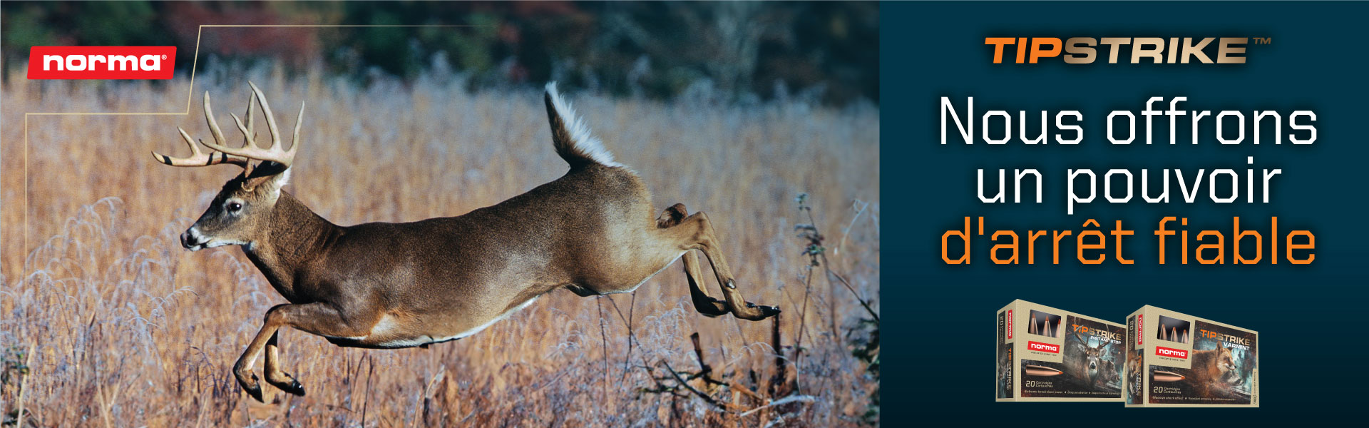 ORIGNAL : Maximiser une séance d’appels - Magazine 100% CHASSE PÊCHE